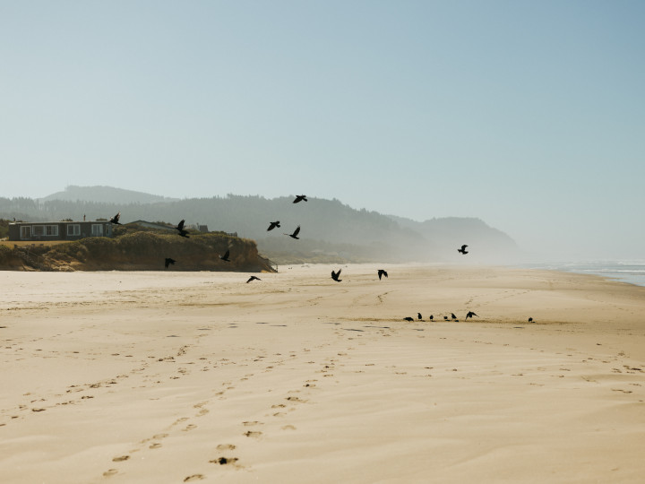 crow Archives - Duncan.co