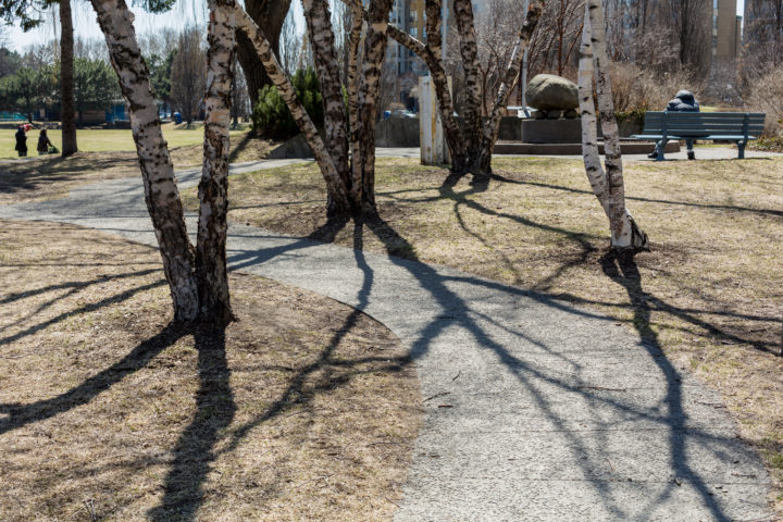 Pathway And Shadows Of Trees - Duncan.co