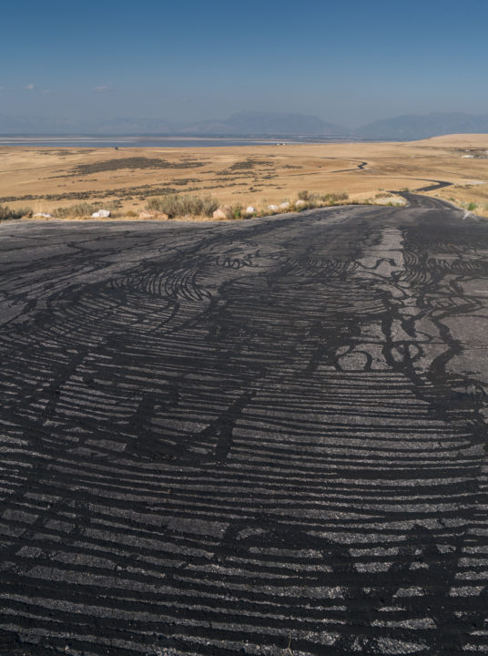 Tar Snakes - Duncan.co