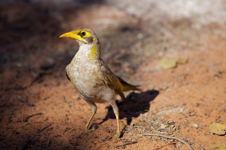 Broome Australia - Duncan.co