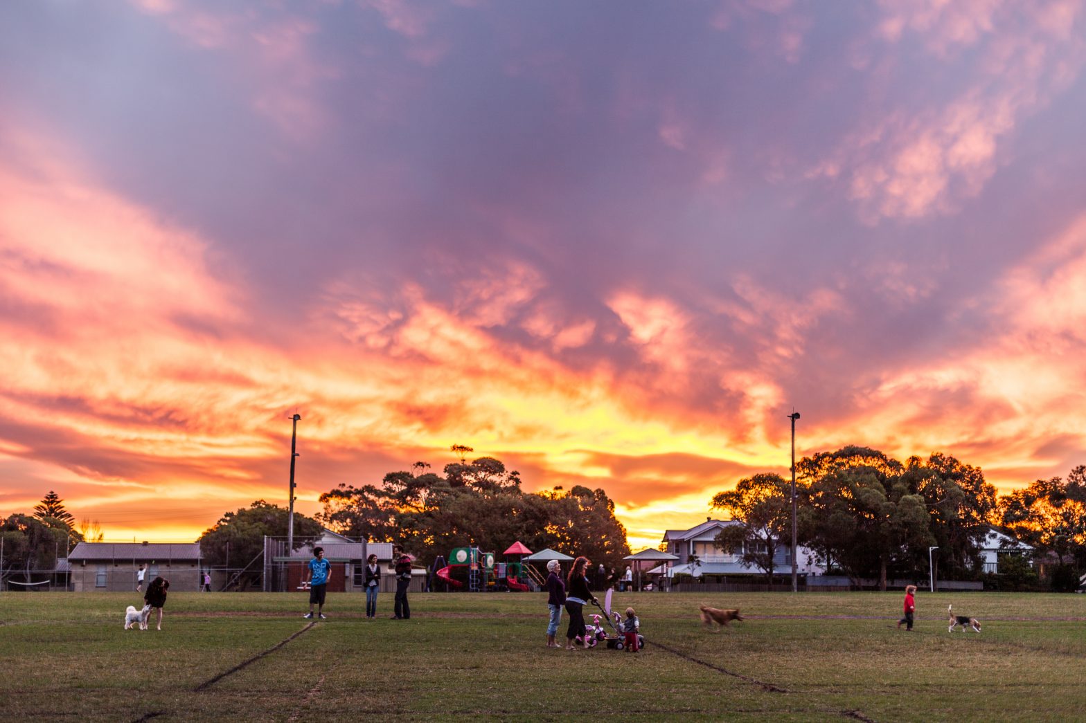 Collaroy Plateau Sunset at the Park - Duncan.co