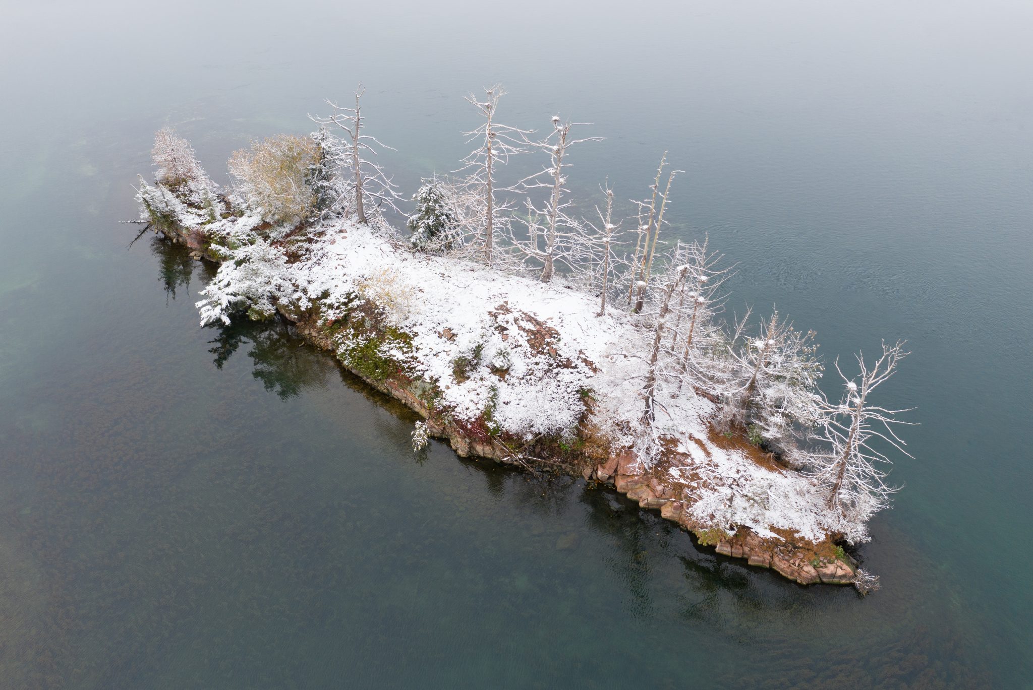Snow Covered Island with Dead Trees - Duncan.co