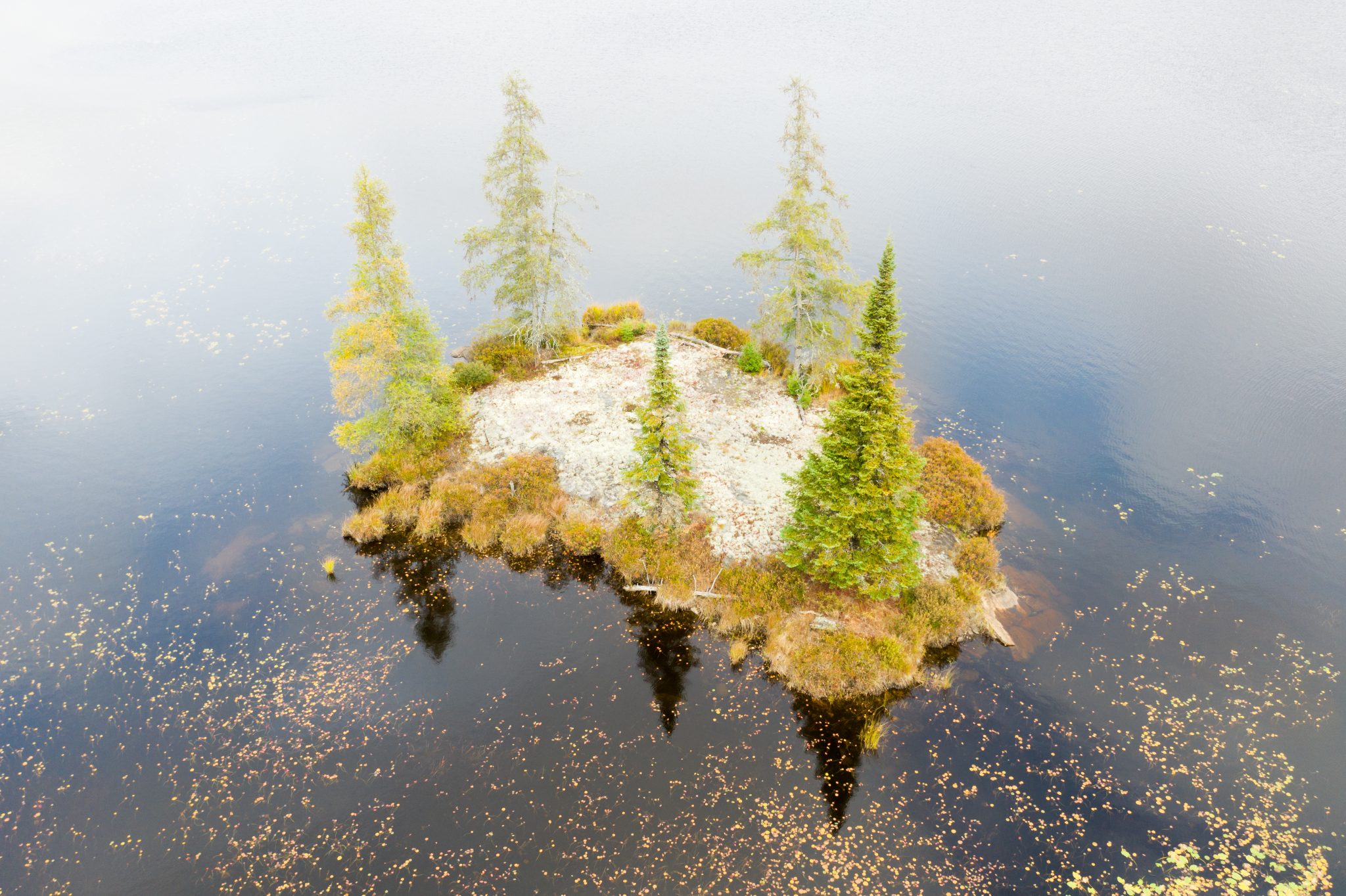 Small Island with Five Trees Archives - Duncan.co