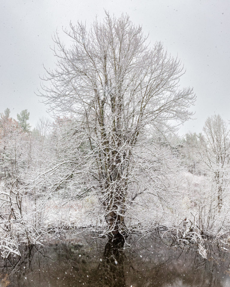 snowing Archives - Duncan.co