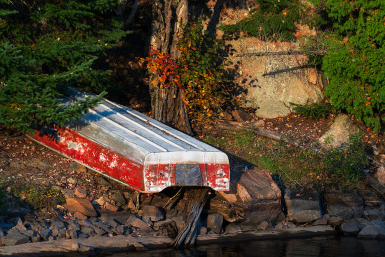 Boat Tied to a Tree - Duncan.co