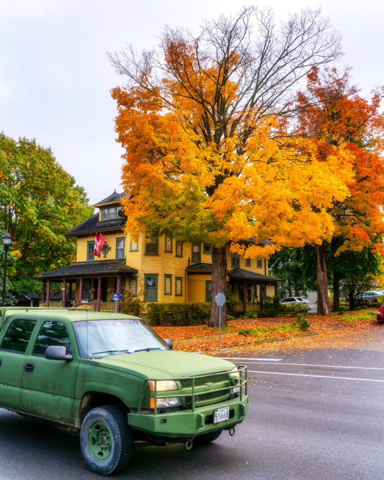 Army Green Pickup and Fall Color - Duncan.co